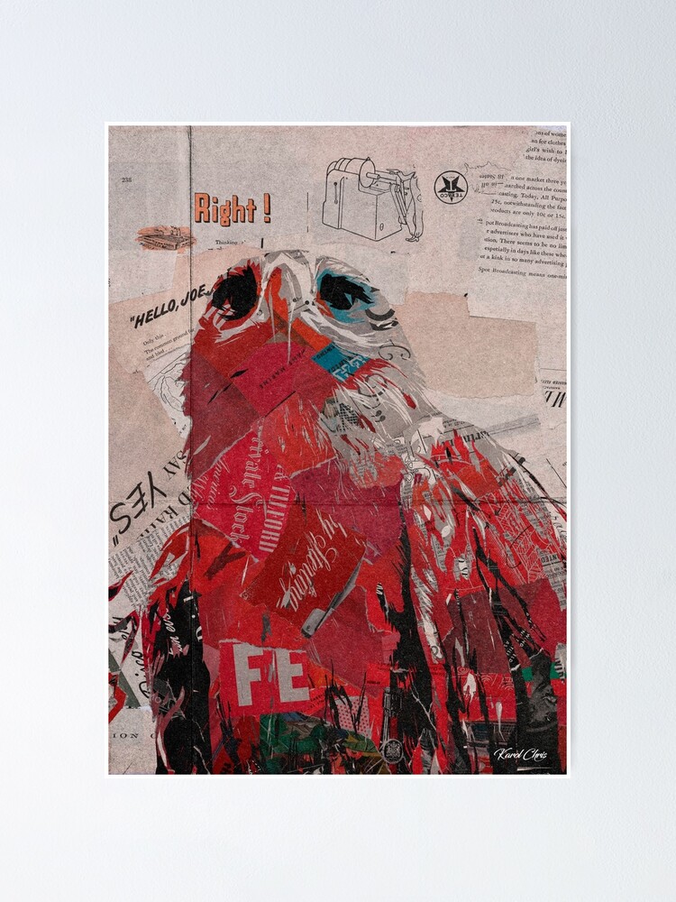 "Collage Art - Bird of Prey - Wildlife Collection" Poster for Sale by ...