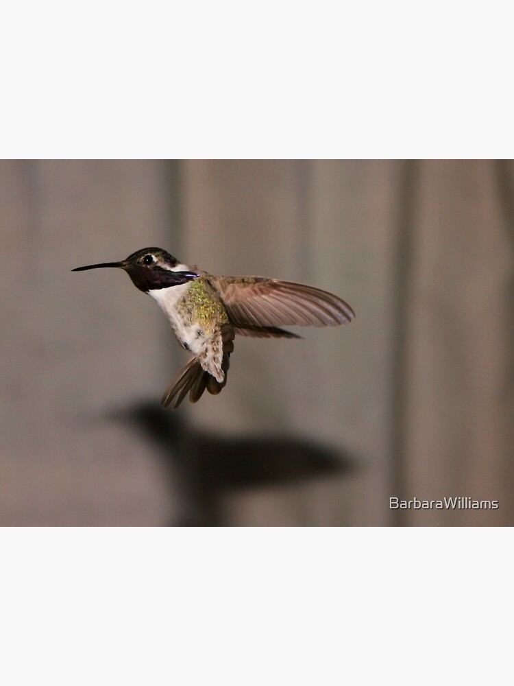 "Hummer 2" Sticker for Sale by BarbaraWilliams | Redbubble