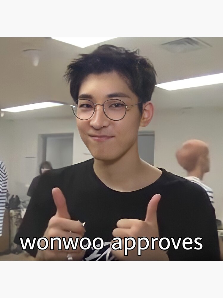 "SEVENTEEN Wonwoo Approves Meme" Sticker for Sale by earlgrye | Redbubble