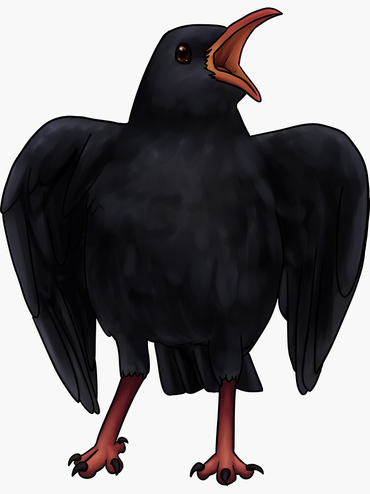 "Red-Billed Chough" Sticker for Sale by Miss-Silver | Redbubble