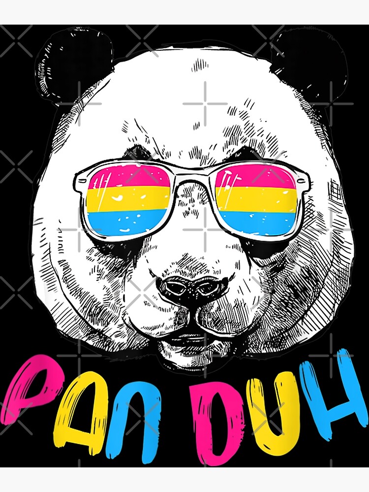 "Pan Duh Pansexual Pride Flag LGBTQ " Poster for Sale by Rosa1202Shop ...