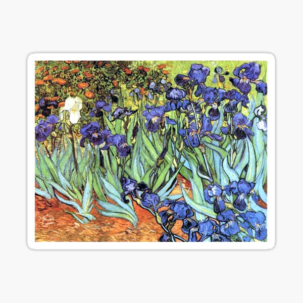 Pegatina «Iris de Vincent van Gogh - Arte de pintores holandeses» de ...