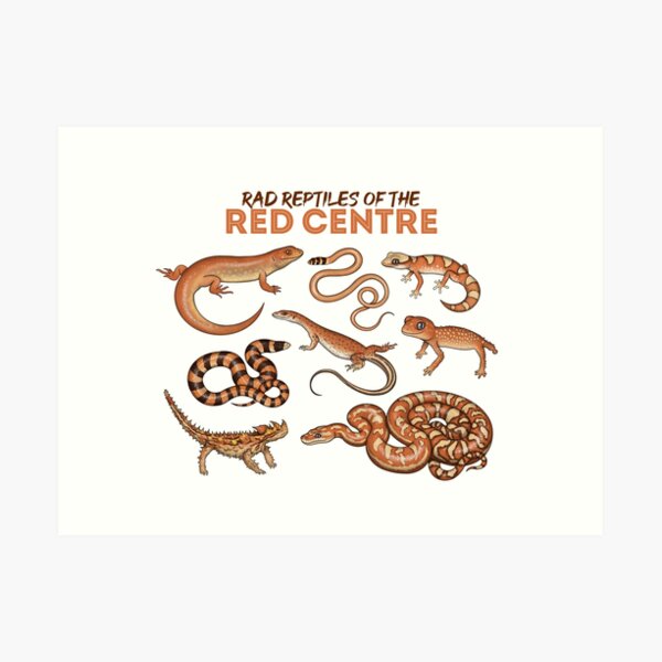 "Rad Reptiles of the Red Centre" Art Print for Sale by miss-varanus ...