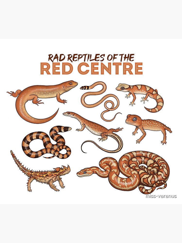 "Rad Reptiles of the Red Centre" Poster for Sale by miss-varanus ...
