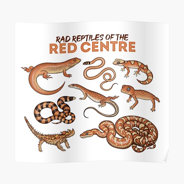 "Rad Reptiles of the Red Centre" Poster for Sale by miss-varanus ...