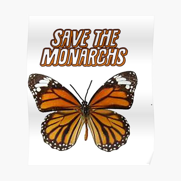 "Save The Monarchs BUTTERFLIES " Poster for Sale by SrsFairyCo | Redbubble