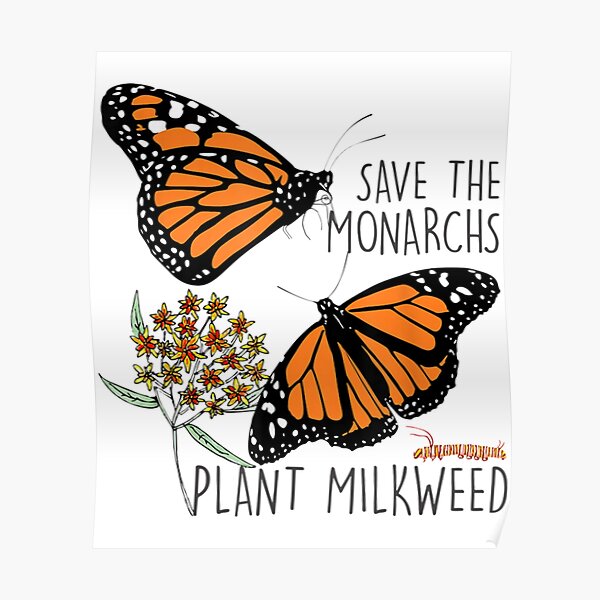 "Save The Monarchs Plant Some Milkweed Butterfly " Poster for Sale by ...