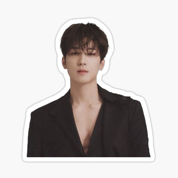 "Seventeen Wonwoo" Sticker for Sale by kpopnow | Redbubble
