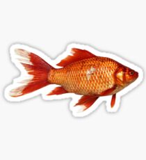 Goldfish: Stickers | Redbubble