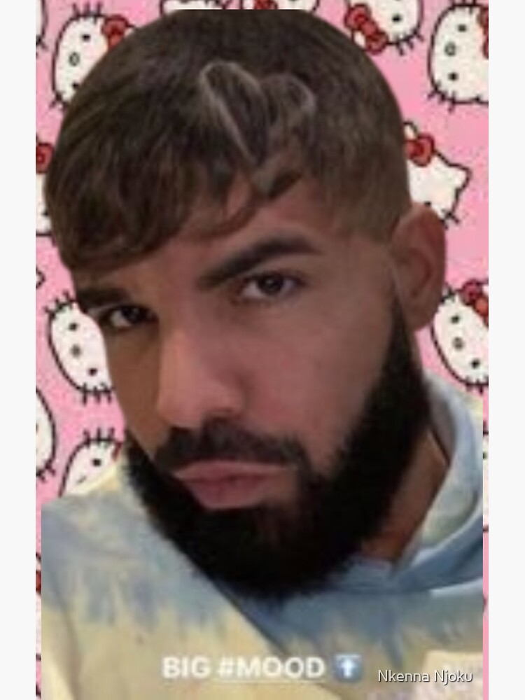"BBL Drake " Sticker by ieatmustyfeet | Redbubble