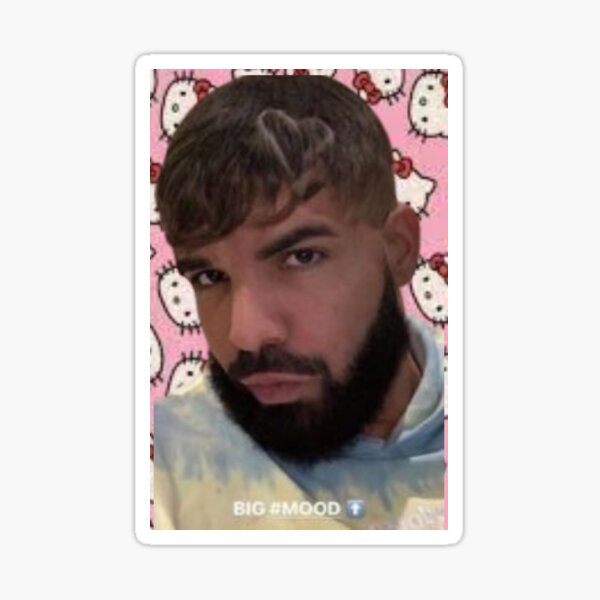 "BBL Drake " Sticker by ieatmustyfeet | Redbubble