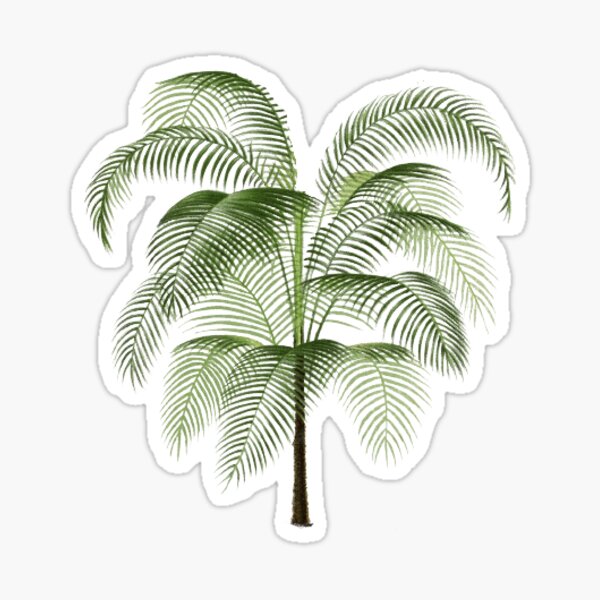 "Palm Tree" Sticker by GuestPostExpert | Redbubble
