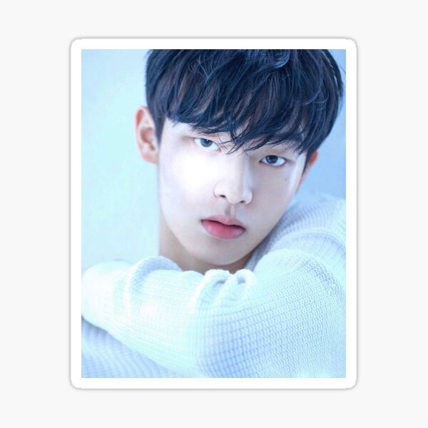 "Awesome Korean Actor" Sticker by leejernigan | Redbubble