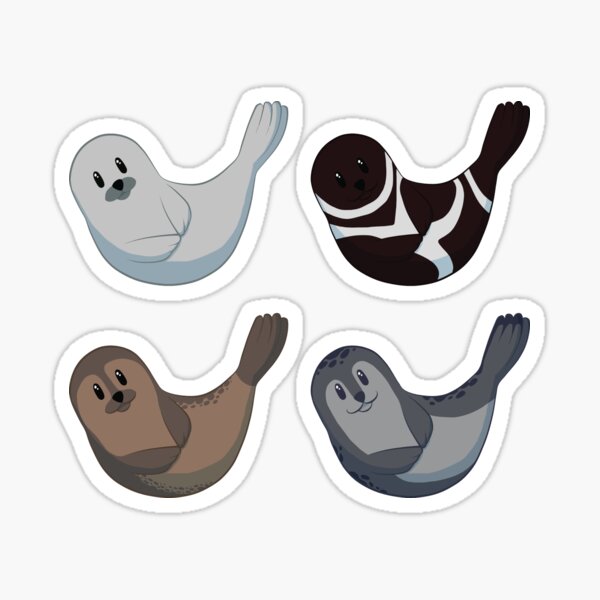 "Cute seal pack" Sticker for Sale by AniBeanz | Redbubble