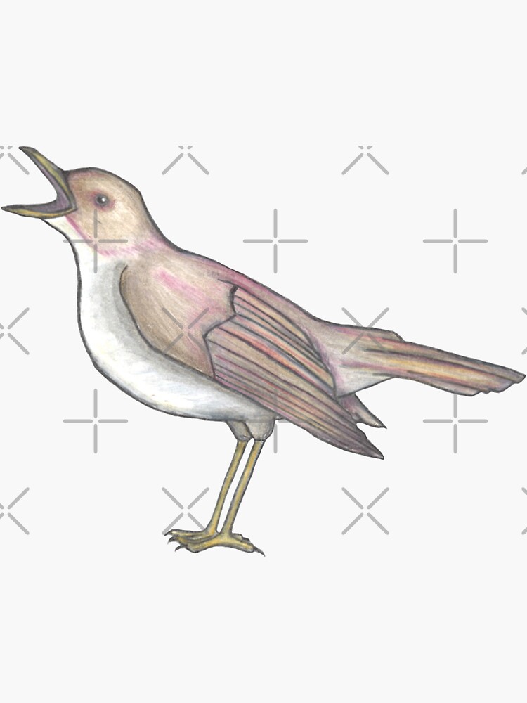 "Nightingale" Sticker for Sale by pewter-tiger | Redbubble
