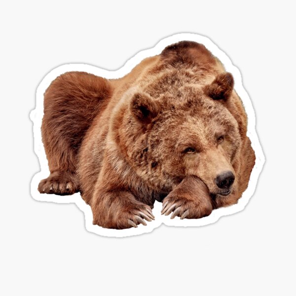 "beautiful brown bear" Sticker by planeteTerre | Redbubble