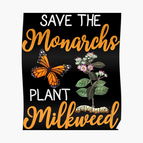 "Save The Monarchs Plant Some Milkweed " Poster for Sale by mollylouiseshop | Redbubble