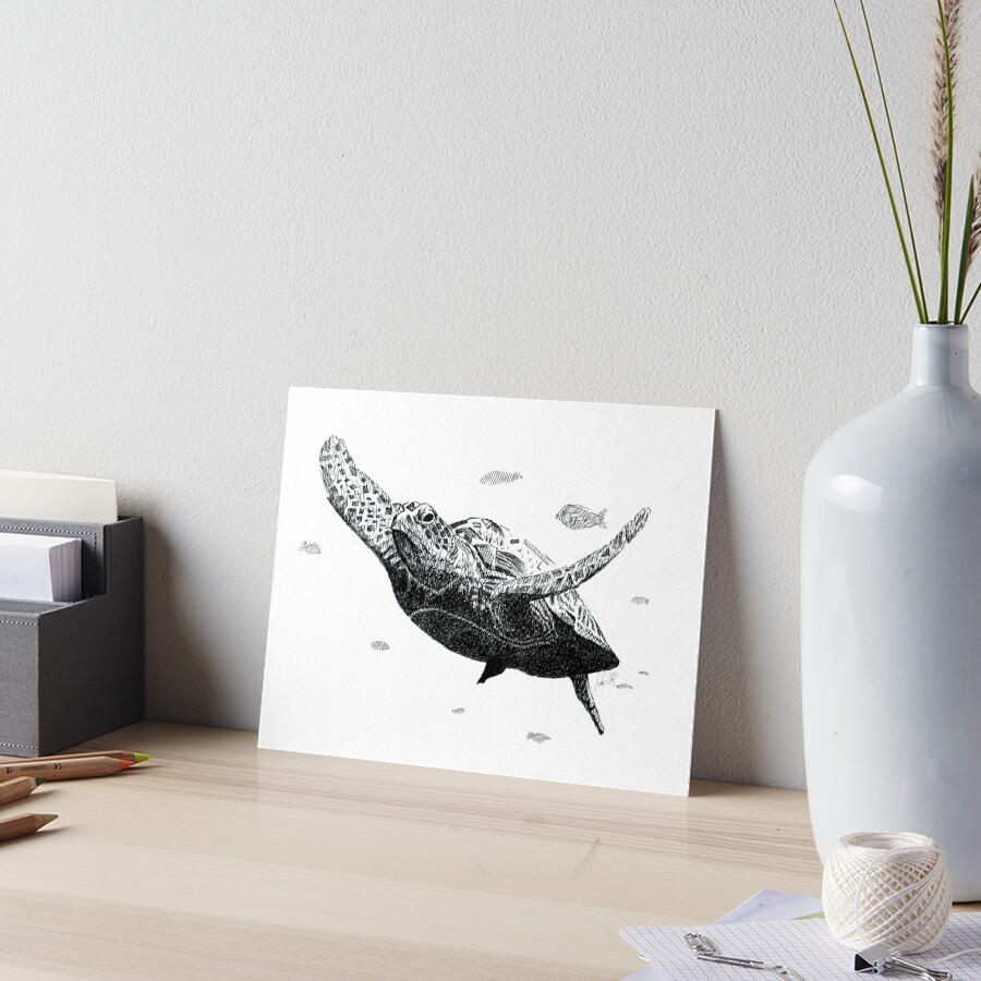 "Sea Turtle Ink Drawing" Art Board Print by dscarts | Redbubble
