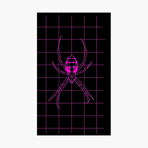 Lámina fotográfica «DIBUJO DE CUADRICULA de una araña de jardín ... Lámina fotográfica «DIBUJO DE CUADRICULA de una araña de jardín ...