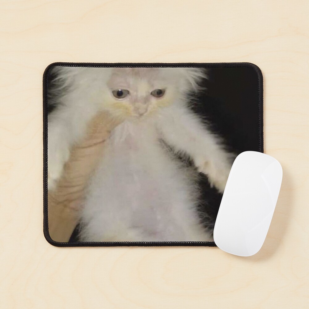 "bald cat meme" Poster for Sale by nainoalequan | Redbubble