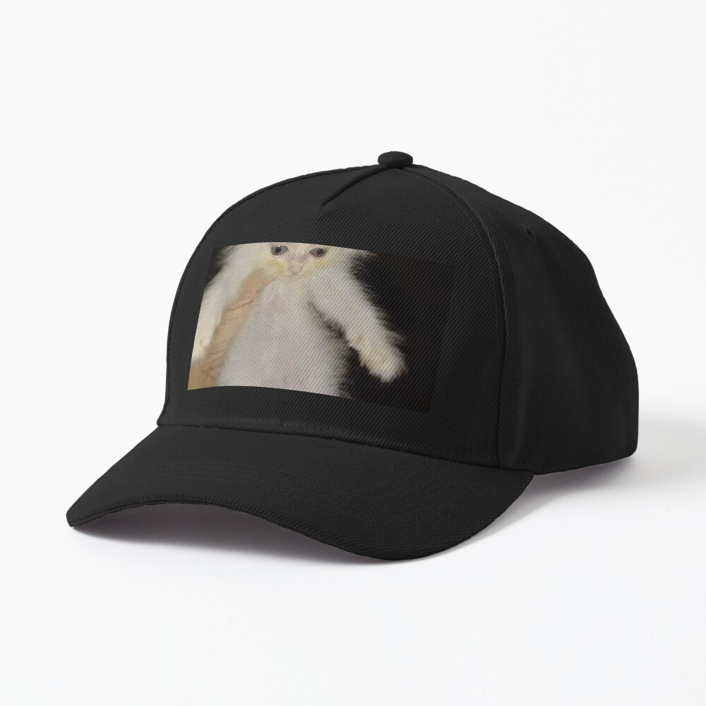 "bald cat meme" Poster for Sale by nainoalequan | Redbubble