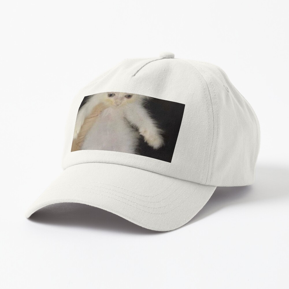 "bald cat meme" Poster for Sale by nainoalequan | Redbubble