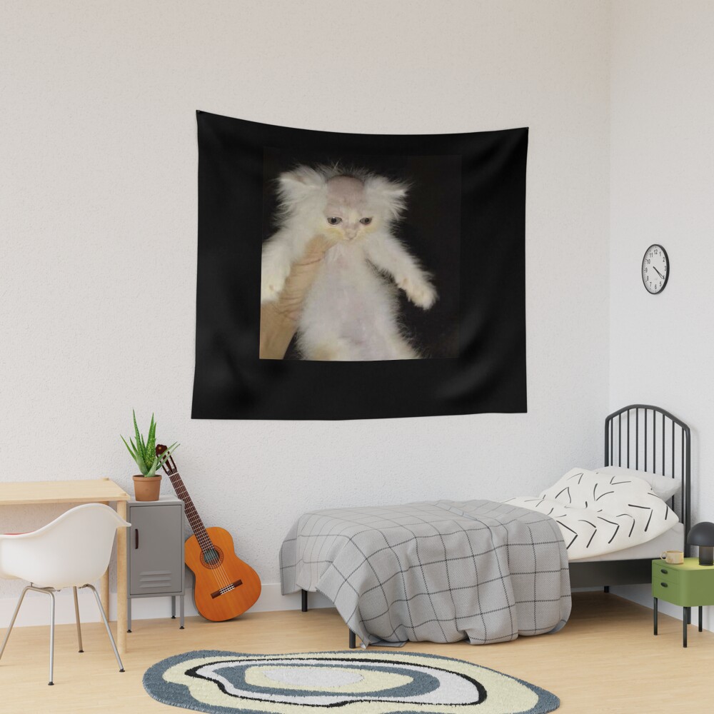 "bald cat meme" Poster for Sale by nainoalequan | Redbubble