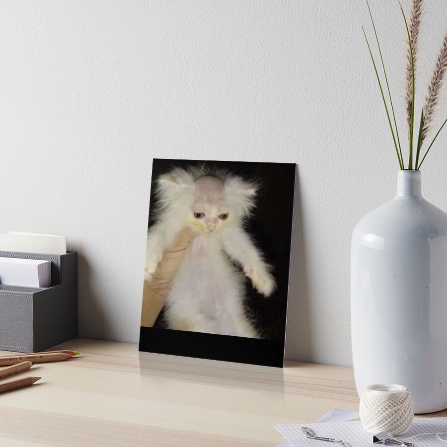 "bald cat meme" Poster for Sale by nainoalequan | Redbubble