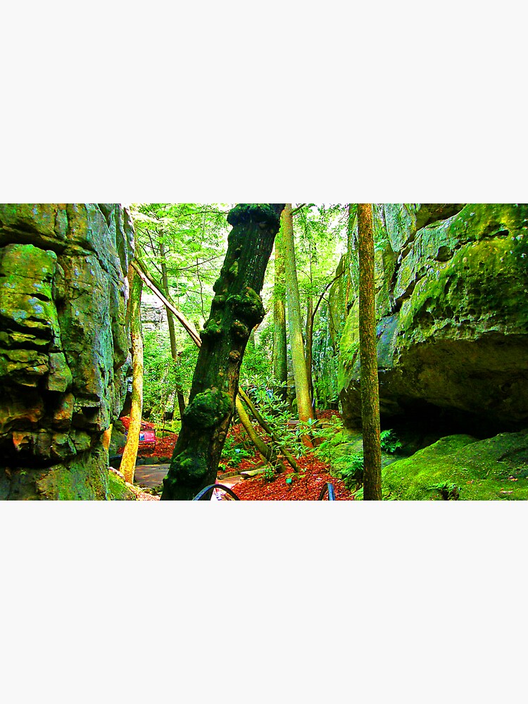 "Pathway" Sticker for Sale by Rupprat | Redbubble