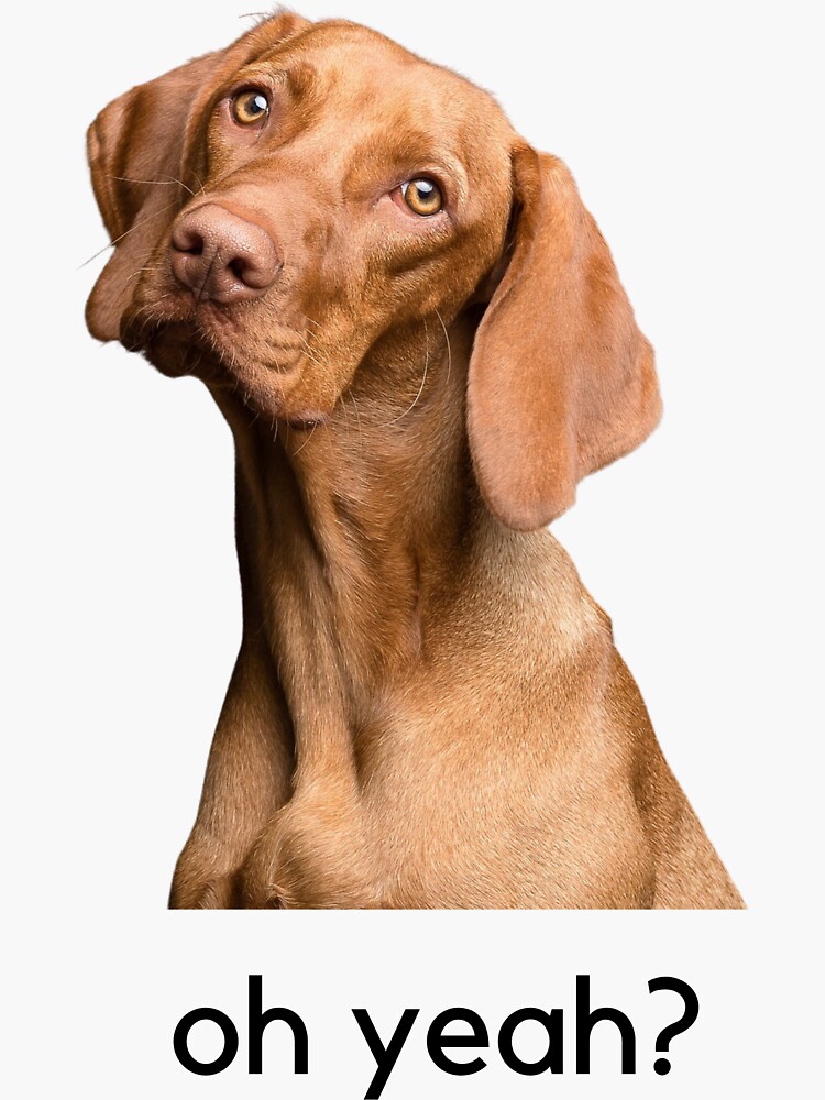 ""Oh Yeah?" Funny Dog Meme" Sticker for Sale by prettysol1 | Redbubble