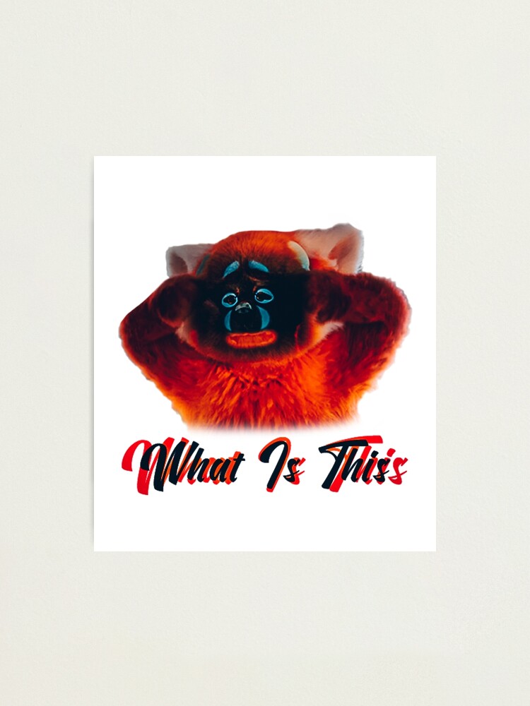 "Turning Red - very angry red - crying red - Turning red ,Turning red ...