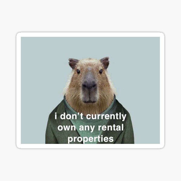 "Capybara meme" Sticker for Sale by maevemart | Redbubble