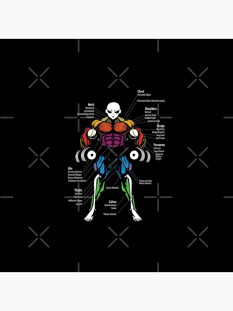 "Jiren Anatomy Muscle Chart Diagram" Pin for Sale by gohanflex | Redbubble
