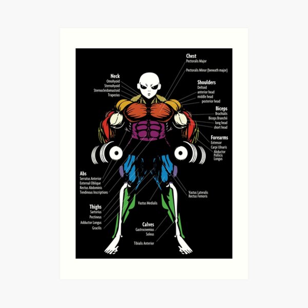 "Jiren Anatomy Muscle Chart Diagram" Art Print for Sale by gohanflex ...