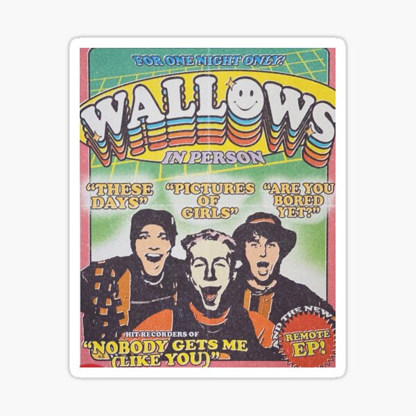 "Wallows Retro Aesthetic Poster" Sticker for Sale by ireruthfordz ...