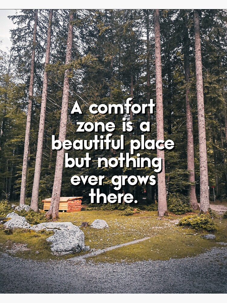 "A comfort zone is a beautiful place but nothing ever grows there ...