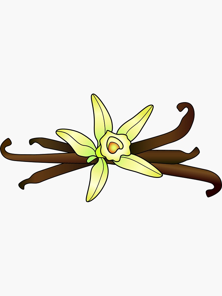 "Vanilla Bean Plant " Sticker by HYCreativeStore | Redbubble