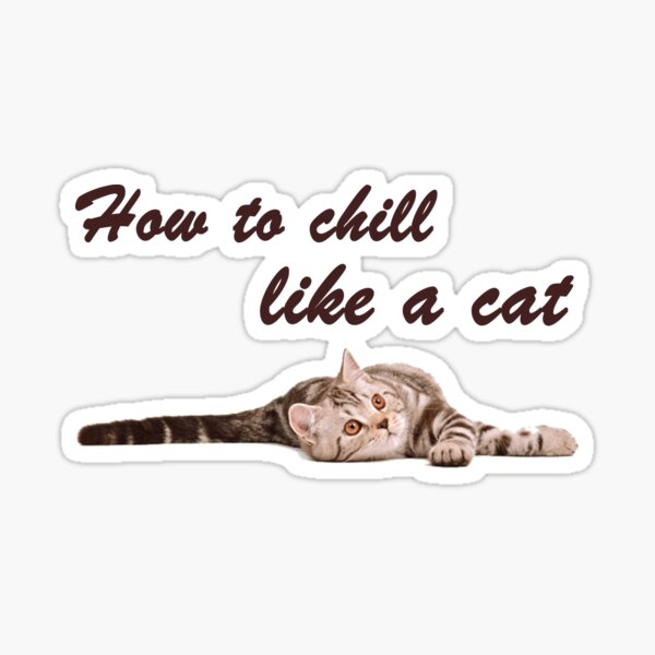 "How to chill like a cat" Sticker by Ilyassxbrand10 | Redbubble