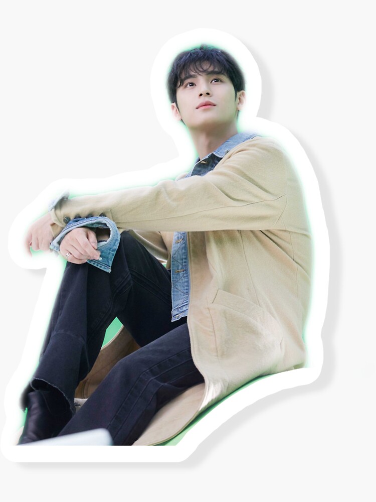 "Mingyu Sticker" Sticker by redesignz | Redbubble