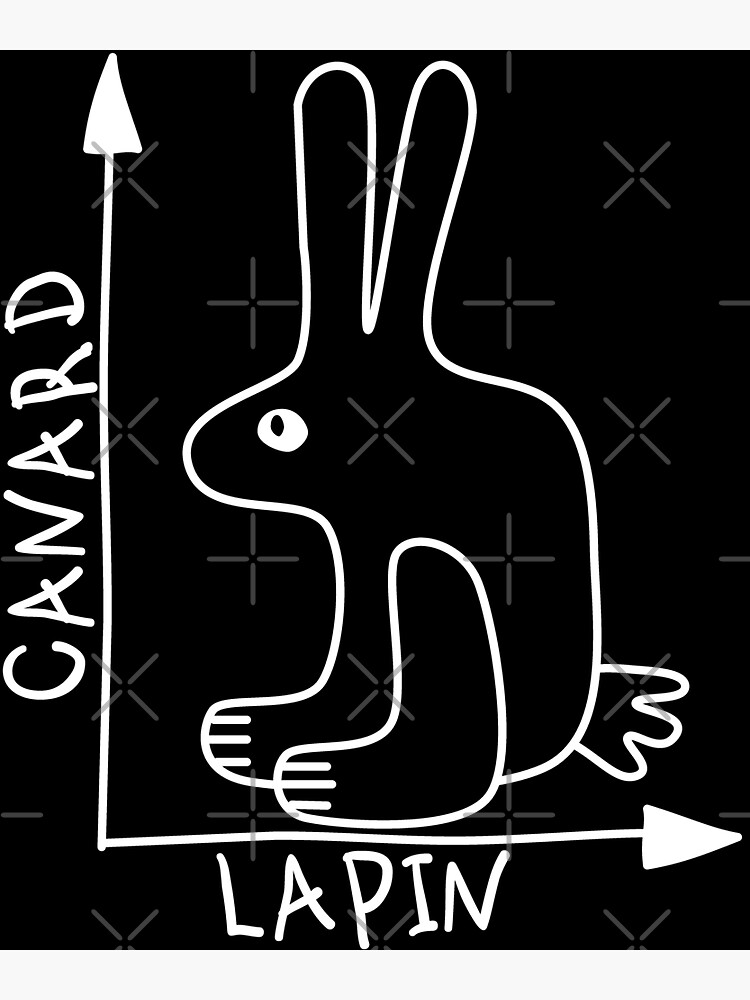 "Funny Nerdy Lapin Canard French Rabbit Duck Graph Easter Math Teacher ...