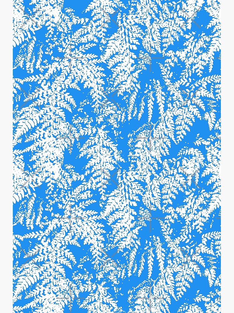 "Hawaiian Palapalai Fern Impressions-Blue and white" Poster for Sale by ...