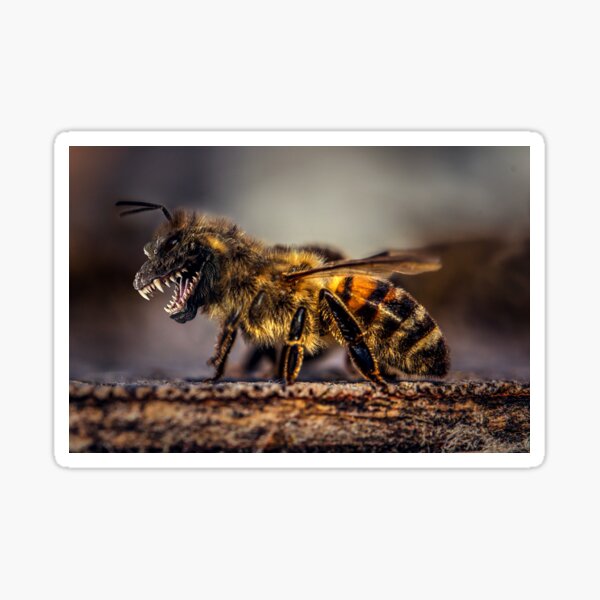 "Bee Monster - Kaiju art " Sticker by motherofkaiju | Redbubble