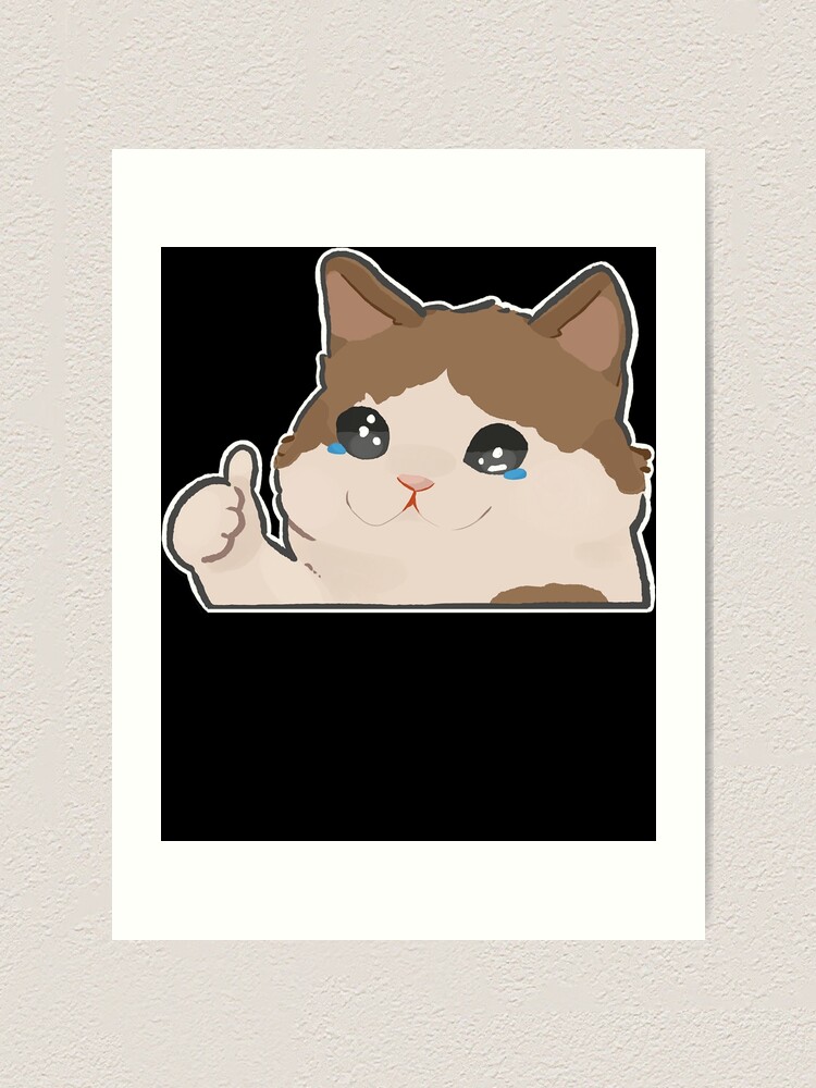 "crying cat meme" Art Print for Sale by shadonnagennaro | Redbubble