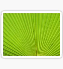 Palm Leaf: Stickers | Redbubble