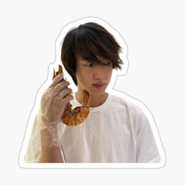 "Jin" Sticker for Sale by Hoopi | Redbubble