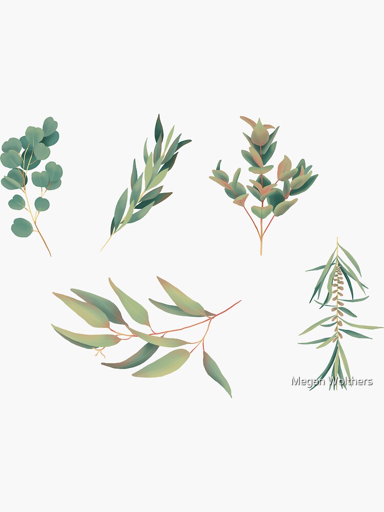 "Australian Native Leaves" Sticker by megan-wolthers | Redbubble