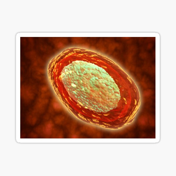 "Microscopic view of smallpox." Sticker by StocktrekImages | Redbubble