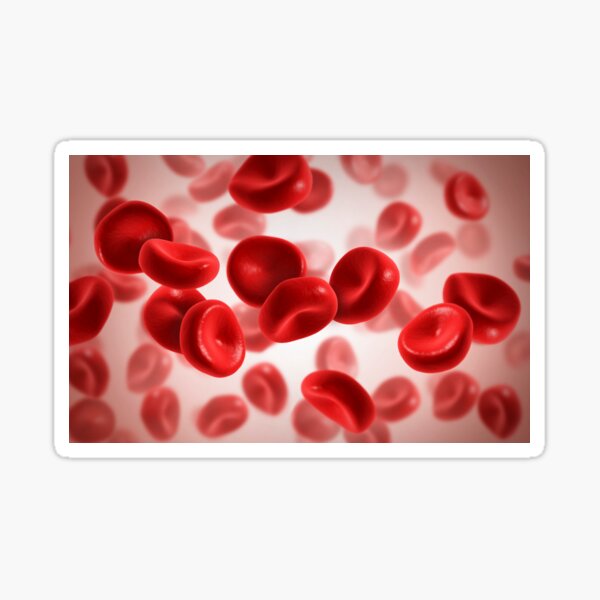 "Microscopic view of blood cells." Sticker for Sale by StocktrekImages ...