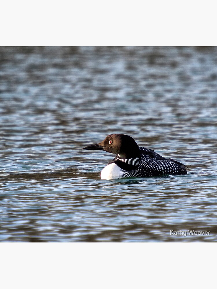 "Just Passing Through" Sticker by kdxweaver | Redbubble