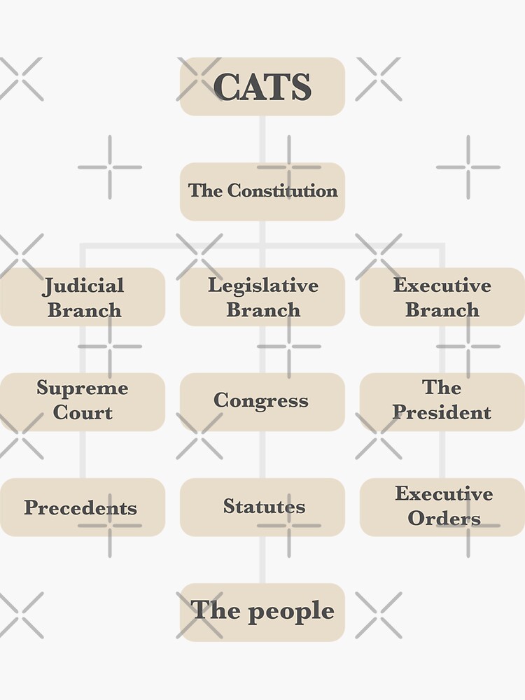 "Cats Rule - True Government Hierarchy (Joke)" Sticker for Sale by ...